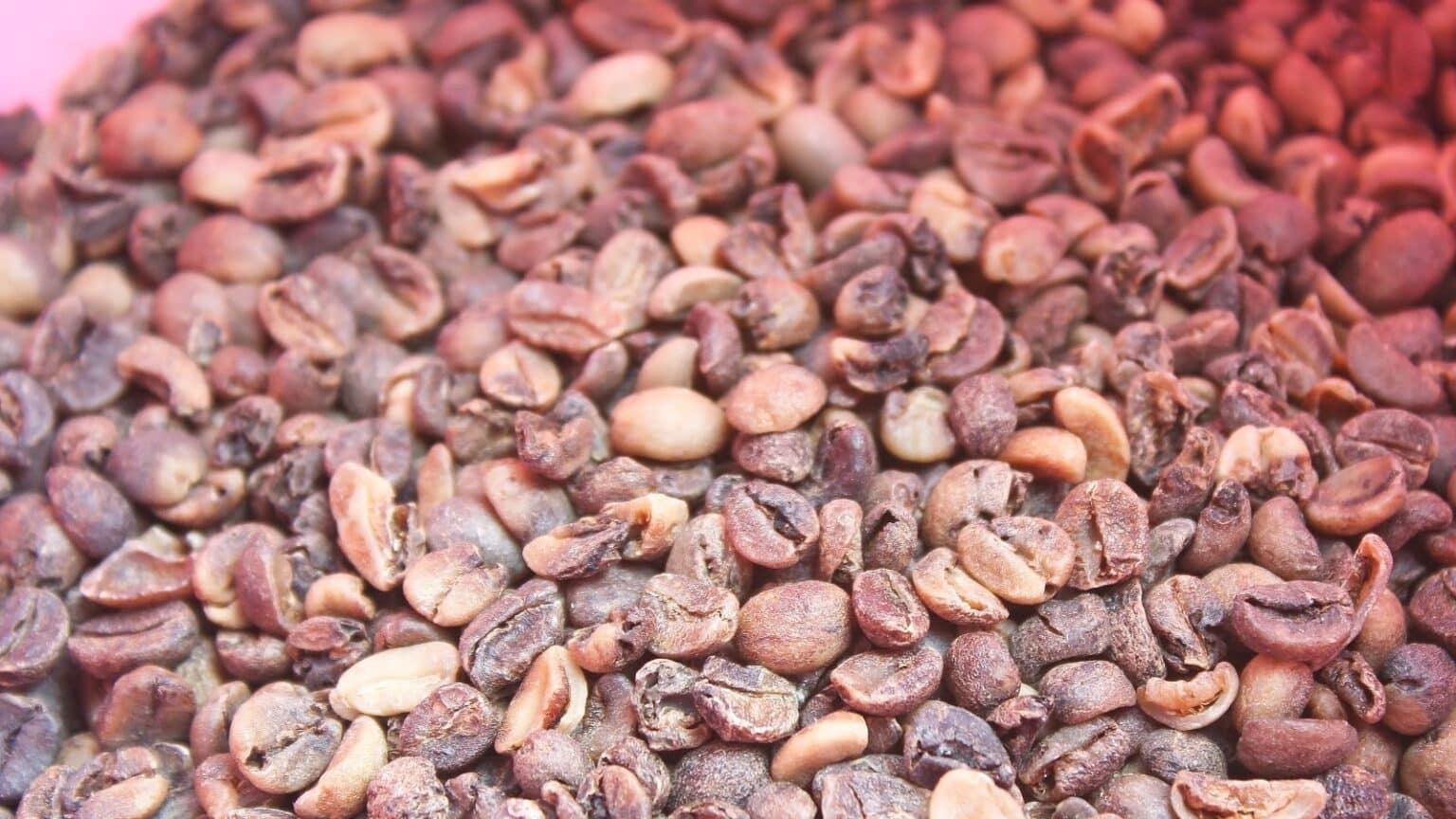 Dead Giveaways - 21 Behaviors Pointing To A Childhood In Poverty ...