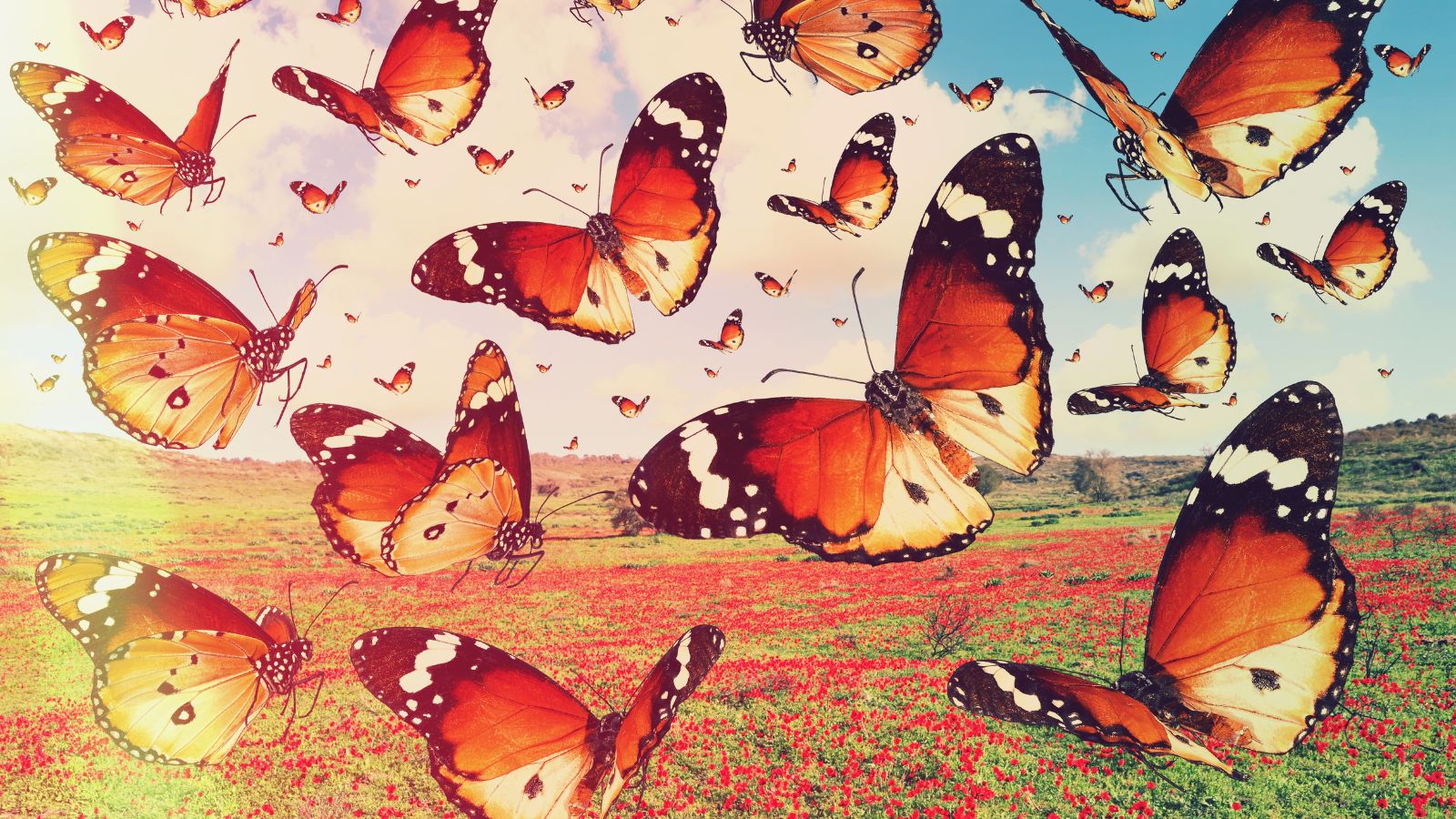 19 Things That Quietly Vanished From Society Without A Trace | Wealthy ...